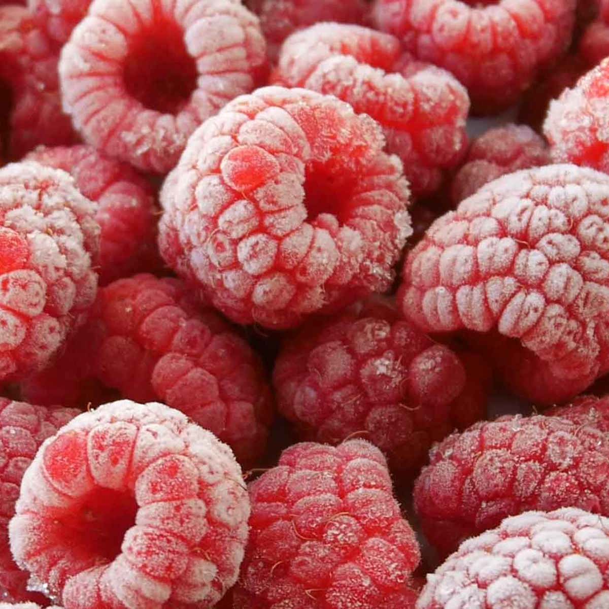Fruit and vegetable IQF freezing solutions | JBT Marel