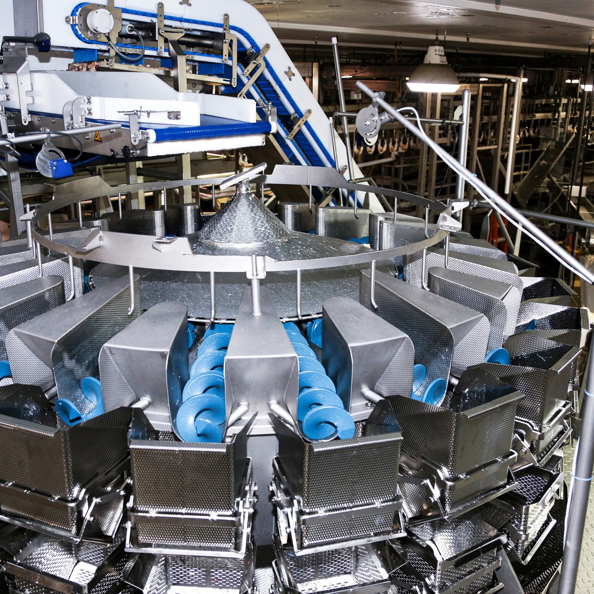 Multihead Weigher Auger Feed for fresh products | JBT Marel