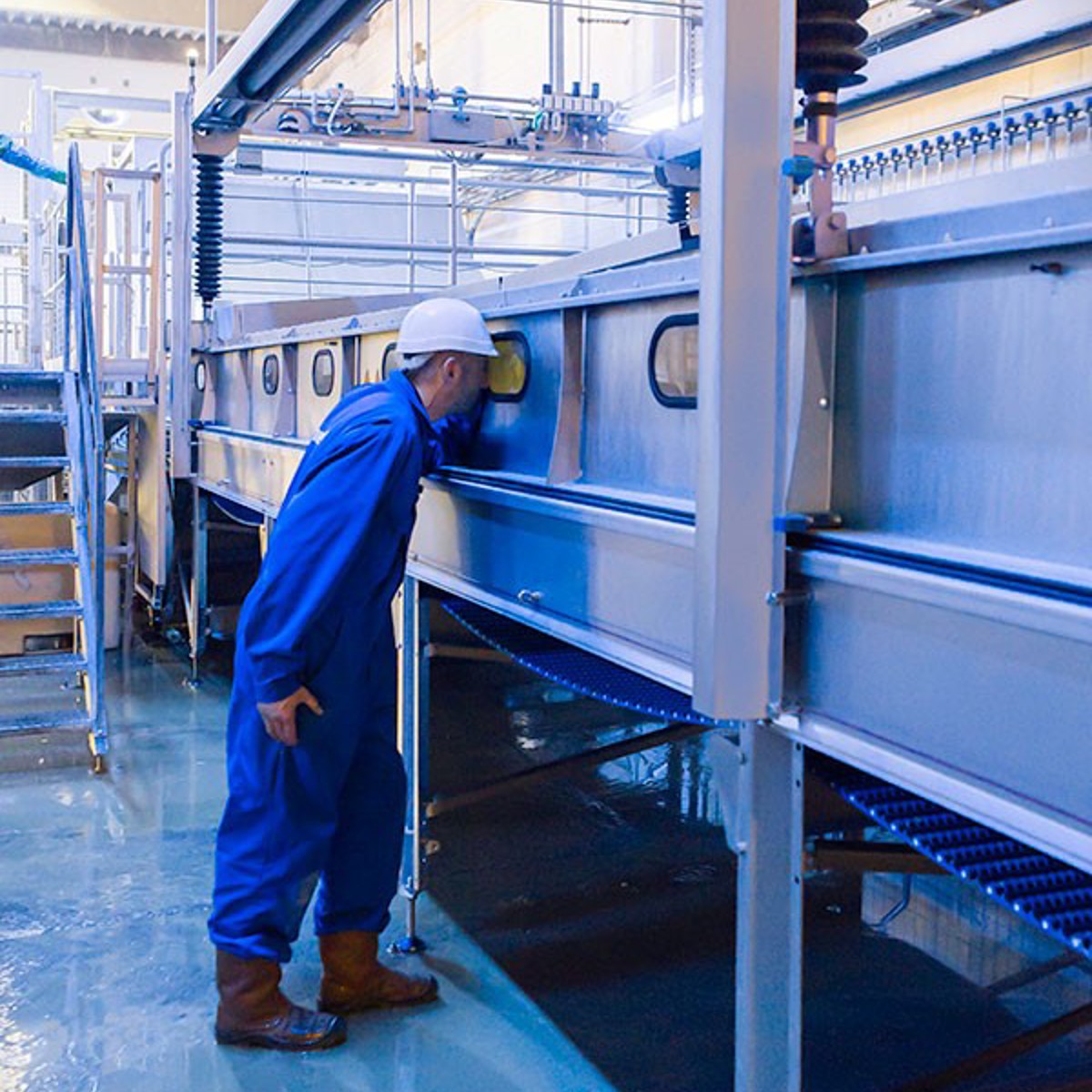 Cargill installs state-of-the-art technology at Ontario plant | JBT Marel