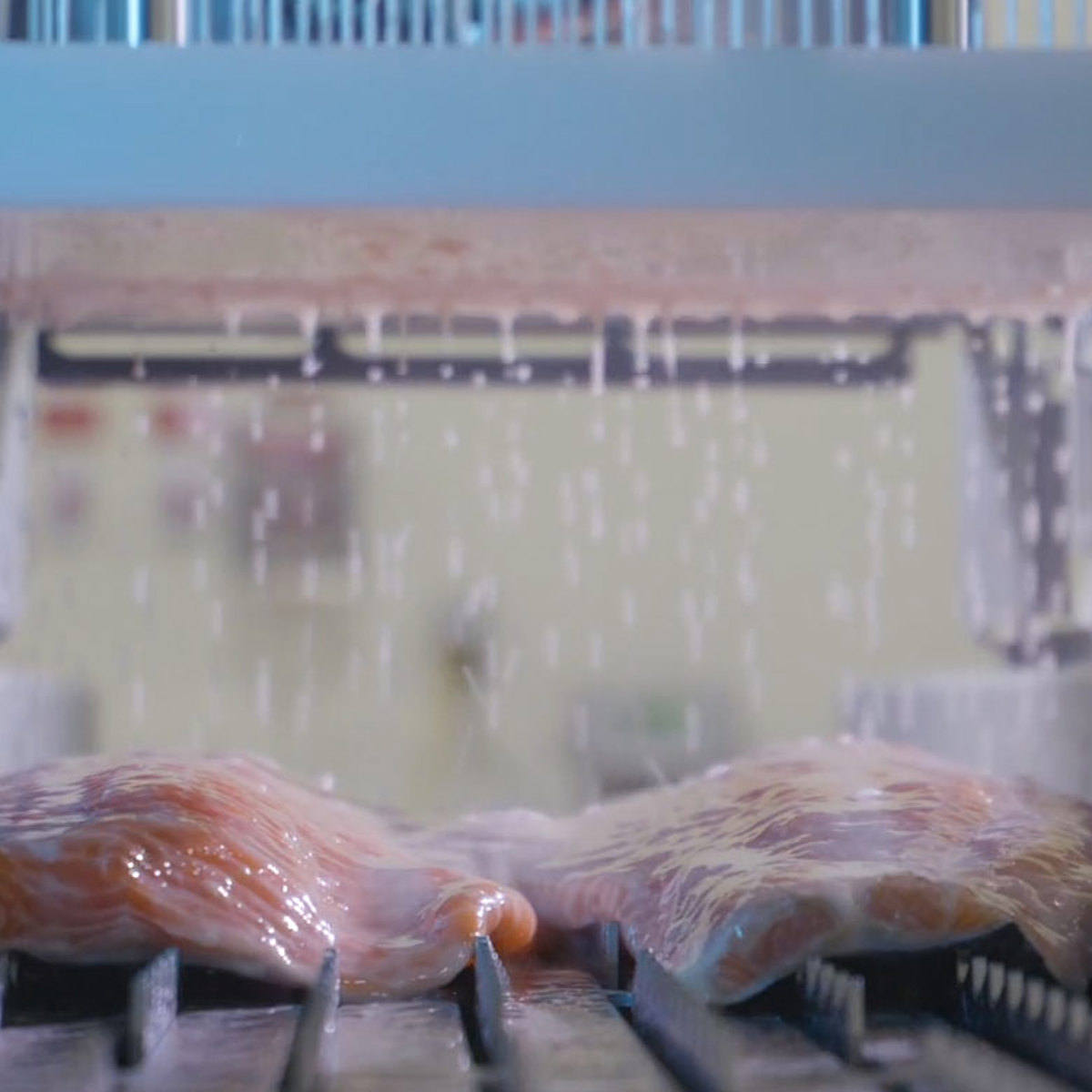 Injection and marination solutions for salmon processors | JBT Marel
