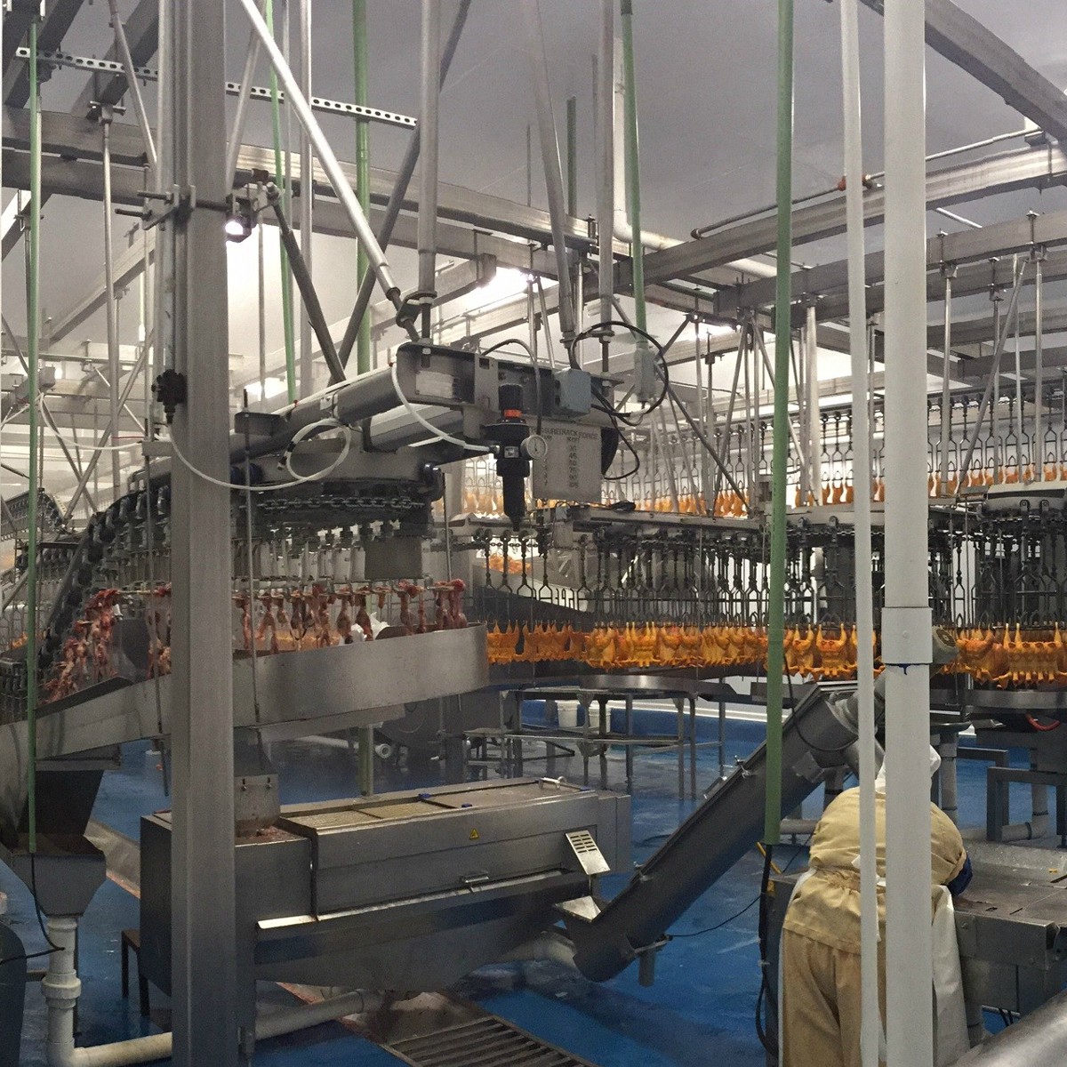 Nutrypollo is “synonymous with total quality” | JBT Marel