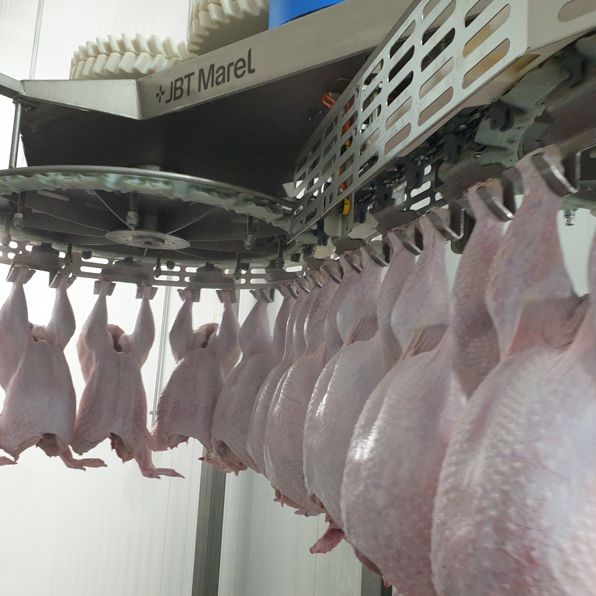 SmartWeigher for turkey | JBT Marel