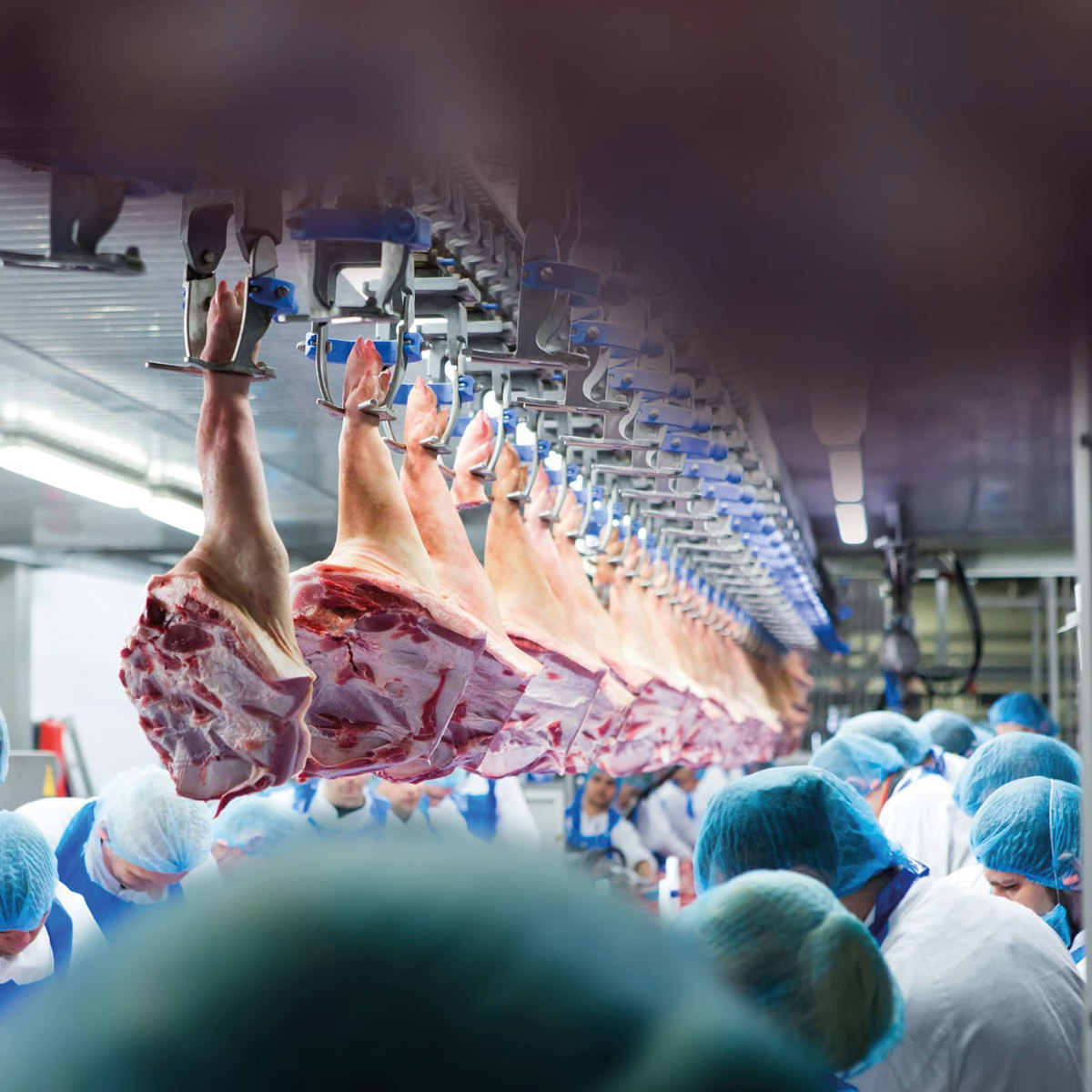 How optimized deboning and trimming is transforming meat processing ...