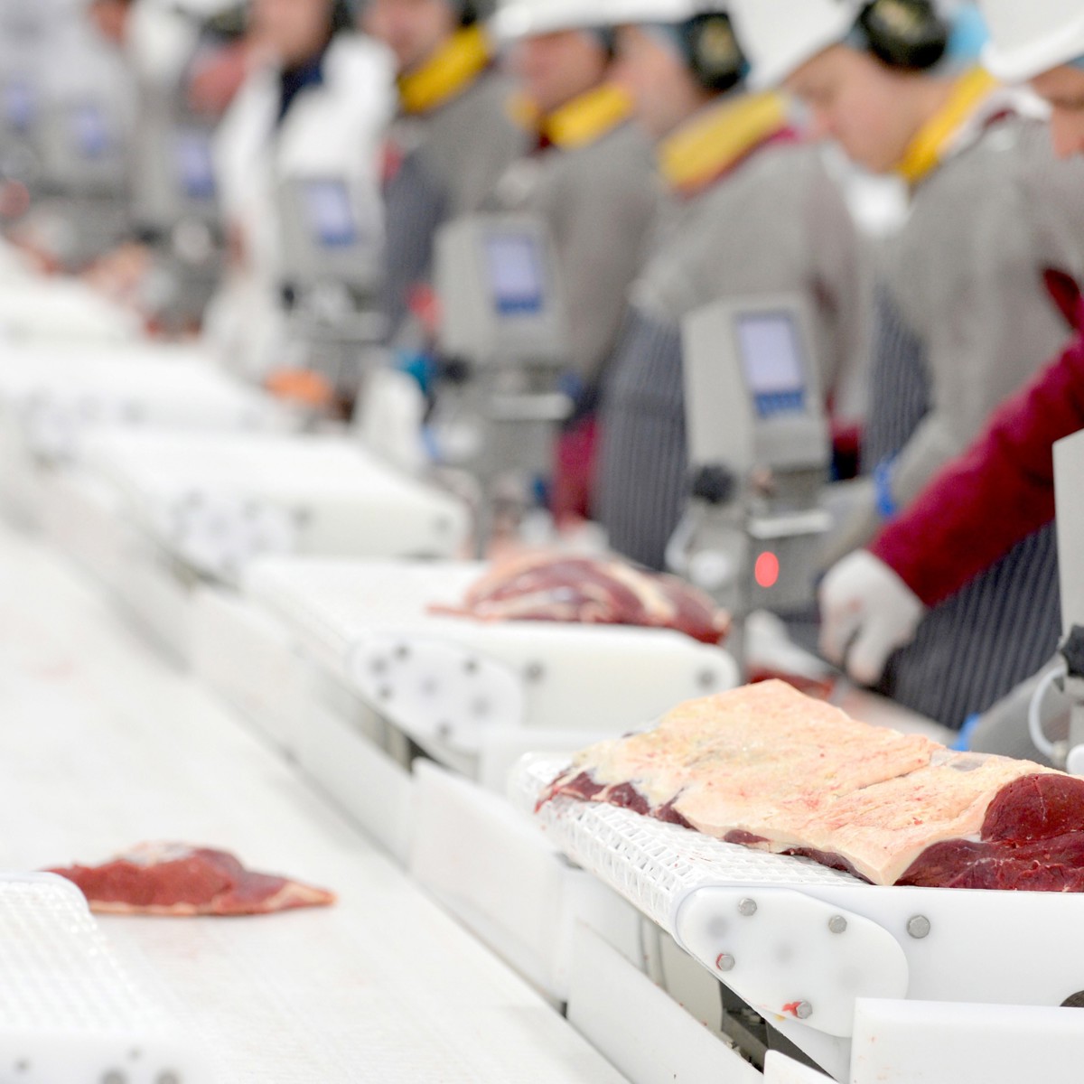 Beef boning hall system at Marcher | Marel | JBT Marel